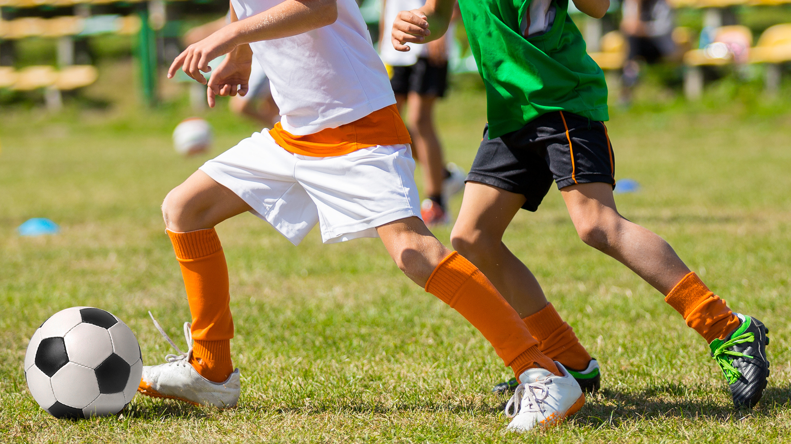 Funding boost for grassroots sports in South Coast and Bega - Liberal ...